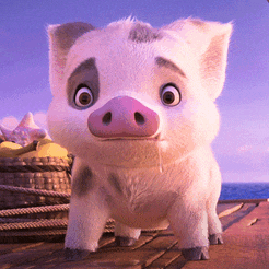 Unko Sweater - The Woolen Sweater | Movie showtimes & tickets in UK ...