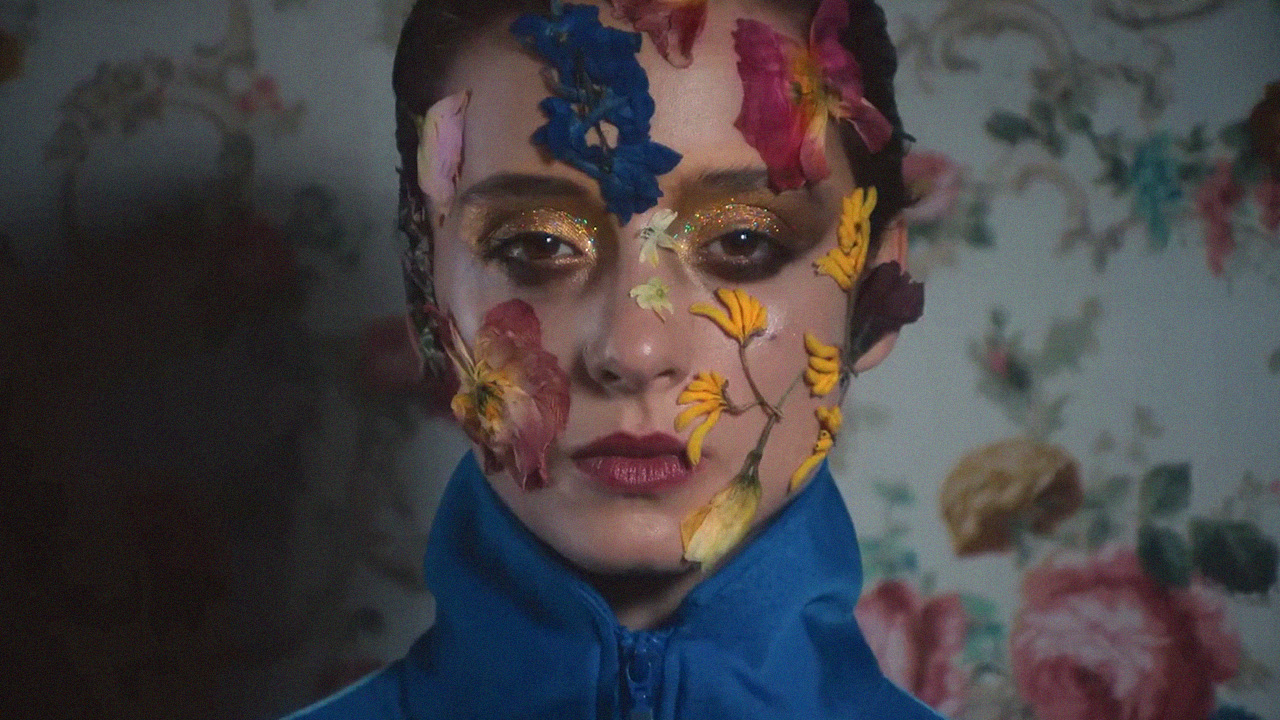 Harry & Snowman, Trailer | Flicks.co.nz